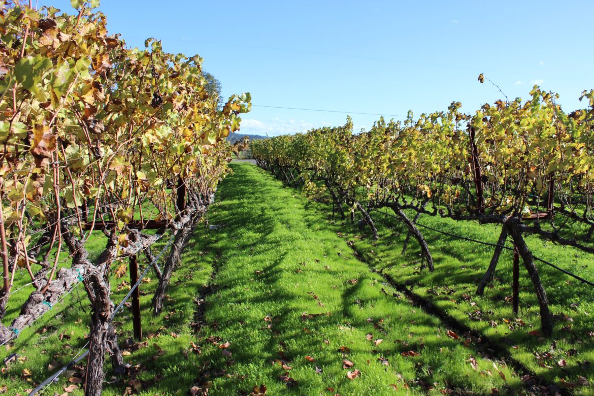 Larkmead Vineyards: A Calistoga Winery Rich With History